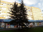 Меха (ulitsa Karla Marksa No:39), kürk ve deri giyim mağazaları  Balaşov'dan
