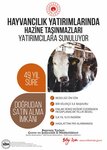 Google Reklam Ajansı Lema Grup (Altıntop Mah., 1591. Sok., No:11A, Merkezefendi, Denizli), reklam ajansları  Denizli'den