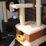 Acquari Tom & Jerry (Lombardy, Provincia di Como, Via Roma, 23), akvaryumlar  Lombardiya'dan