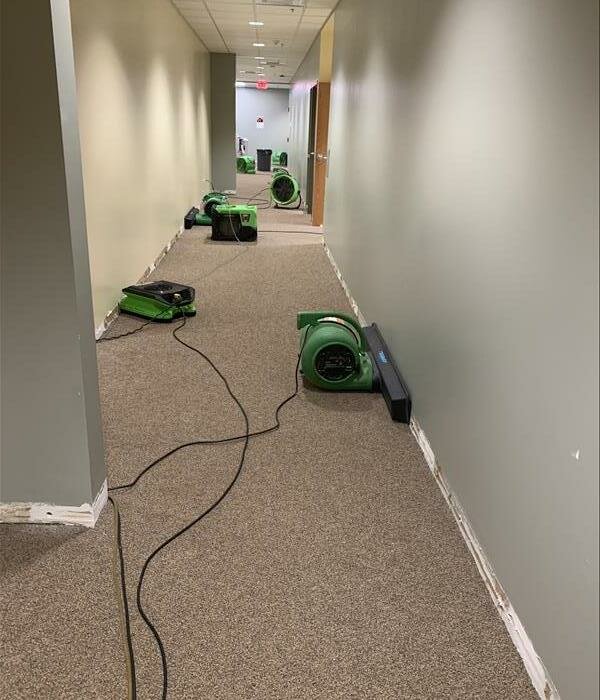 Halı yıkamacılar Servpro of Hamblen County, Tennessee Eyaleti, foto