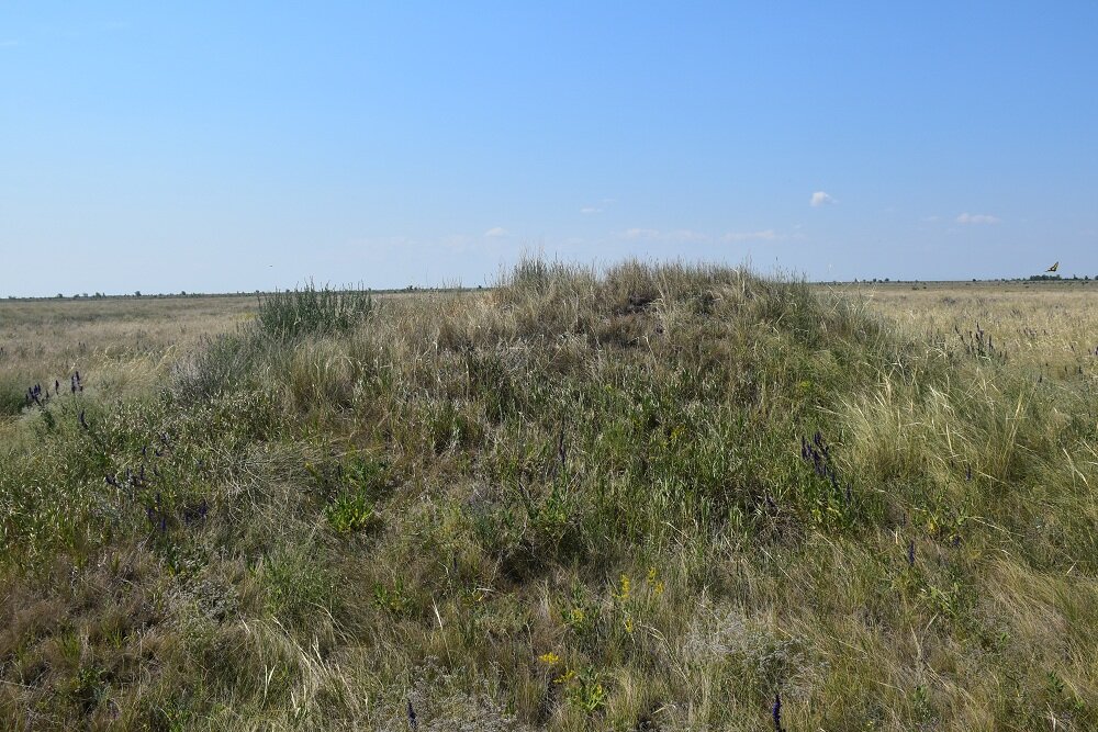Doğa Степные урочища с курганами Три мара, Orenburgskaya oblastı, foto