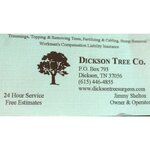 Dickson Tree Surgeon (Tennessee, Dickson County), şehir planlama  Tennessee Eyaleti'nden