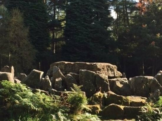 Otel Swinton Bivouac, Kuzey Yorkshire County, foto