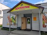 Изобилие (Magadan Region, posyolok gorodskogo tipa Yagodnoye, Klyuchevaya ulitsa), market  Magadan Bölgesi'nden