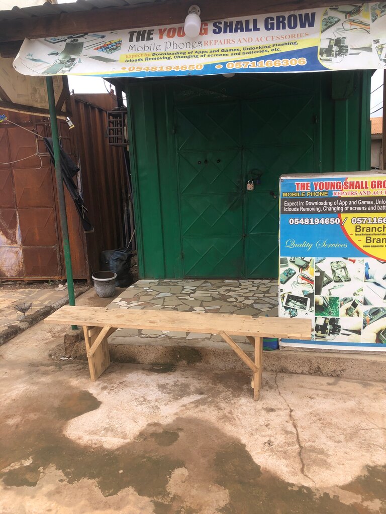 Telefon tamir servisi Thy young shall grow, Dünya, foto