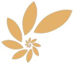 Astrantia (Kapellgasse No:1, Luzern), finansal danışmanlık  Lucerne'den