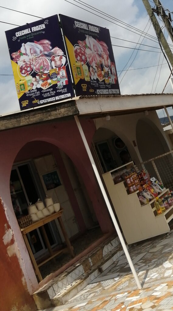 Dondurulmuş gıda firmaları CeeChill Frozen, Dünya, foto