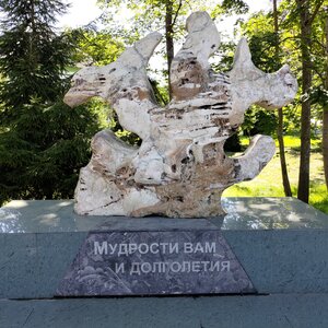 Мудрости вам и долголетия (Kaliningrad Region, Ladushkin, Pervomayskaya ulitsa), park, sokak heykeli  Ladushkin'den
