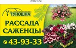 Teplichny kompleks Tunoshna (Kostromskaya ulitsa No:15, selo Tunoshna), seracılık  Yaroslavskaya oblastından