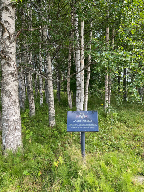 Kültür ve eğlence parkları аллея Победы, Karelya, foto