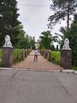 Санаторий им. В. П. Чкалова, корпус № 2 (9-ya proseka 5-ya liniya No:1к2, Barboshina Polyana), tatil altyapısı  Samara'dan