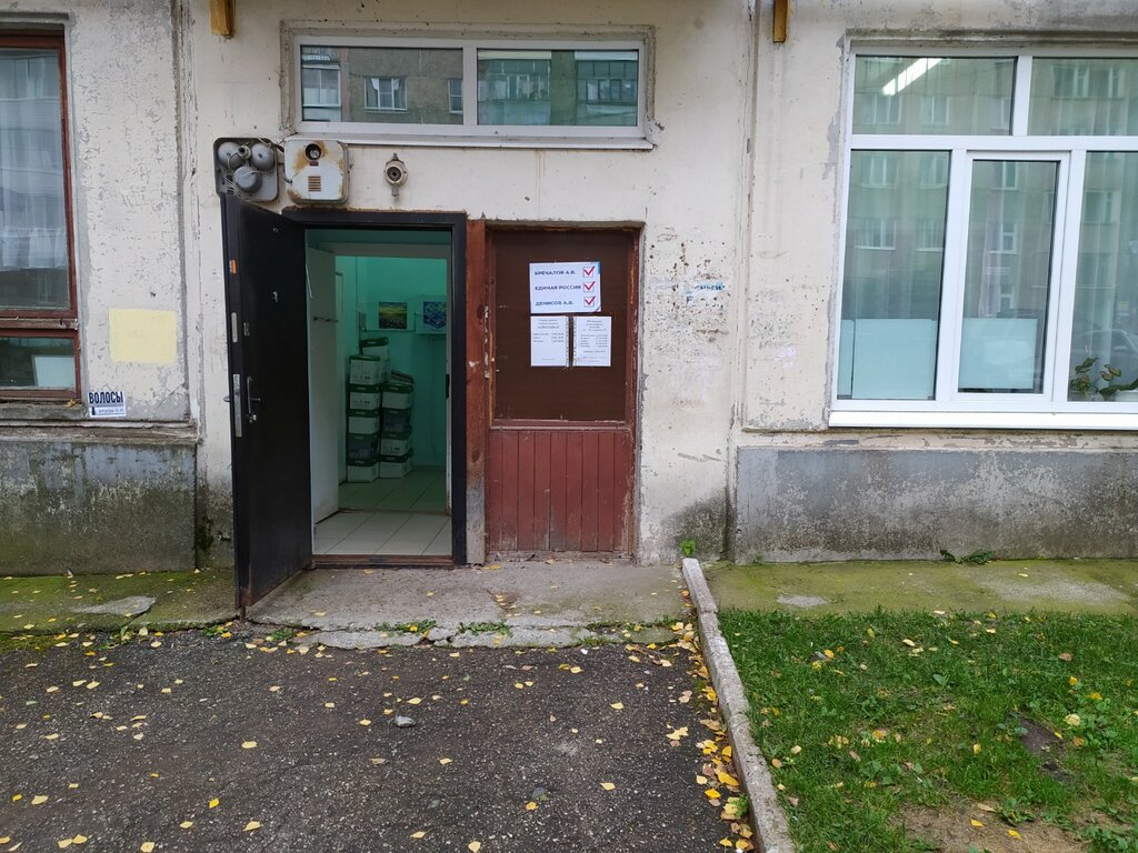 Bebek besleme merkezleri Molochnaya kukhnya, Razdatochny punkt № 5, Izhevsk, foto