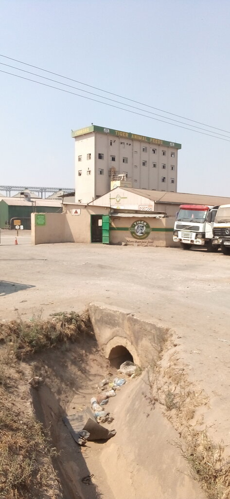 Petshop Tiger Animal Feeds Zambia, Lusaka, foto