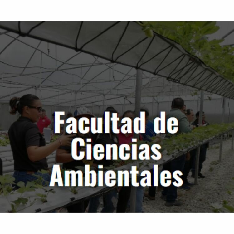 Kişisel gelişim merkezi Universidad Abierta y a Distancia de Panamá, Panama, foto