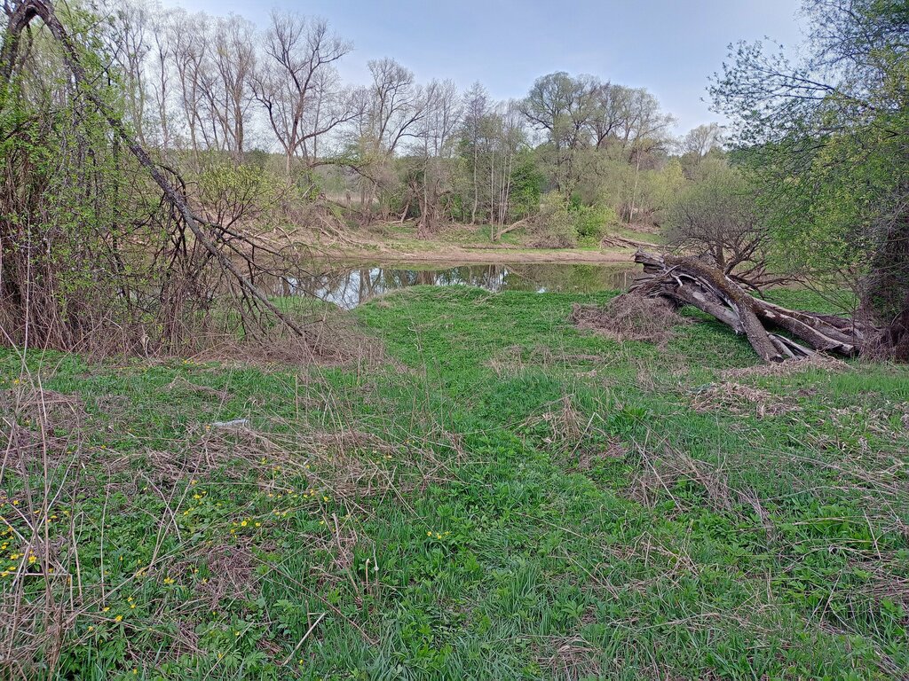 Plaj Пляж, Kalujskaya oblastı, foto