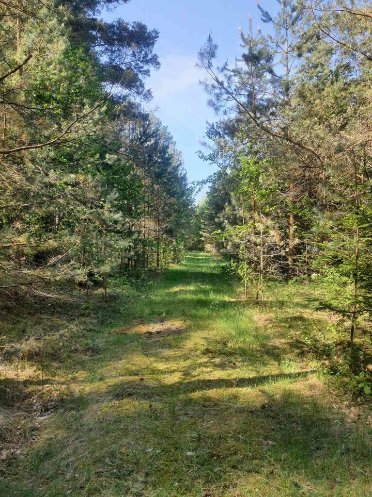 Atık depolama alanı Сморгонское РУП ЖКХ, мини-полигон ТБО Голешонки, Grodnenskaya oblastı, foto