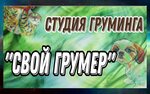Your groomer (ulitsa Sibirskiy Trakt No:28), evcil hayvan kuaförleri  Kazan'dan