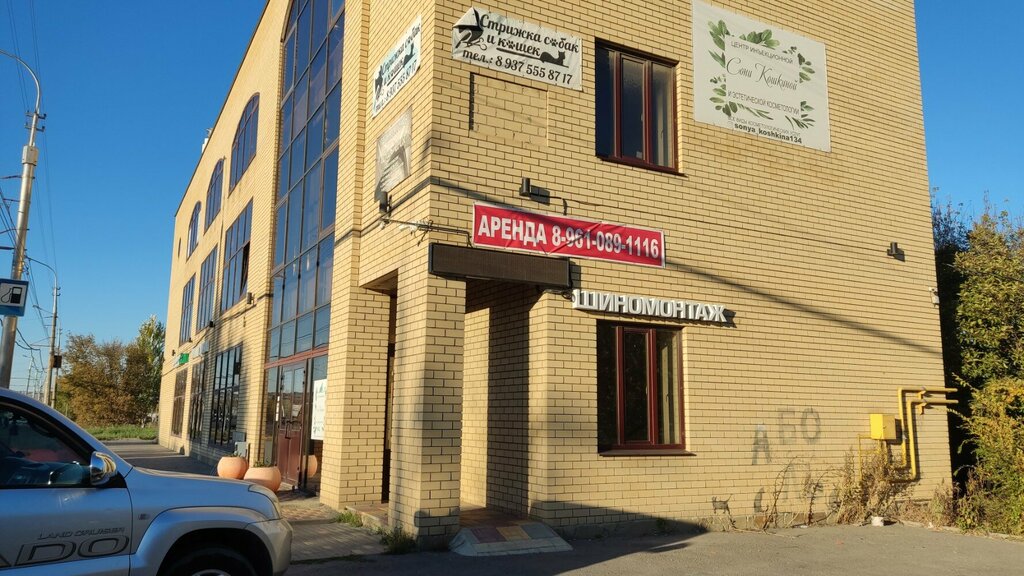 Tuvalet Туалет, Volgograd, foto