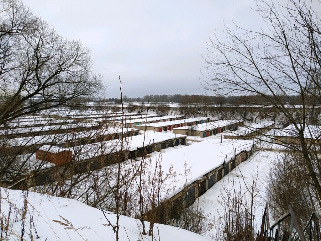 Doğa Крестовский карьер, Yaroslavl, foto