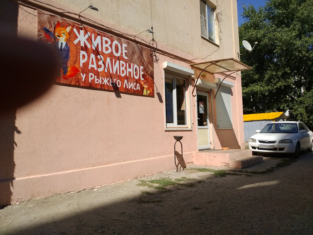 Bar Рыжий Лис, Krasnodar, foto