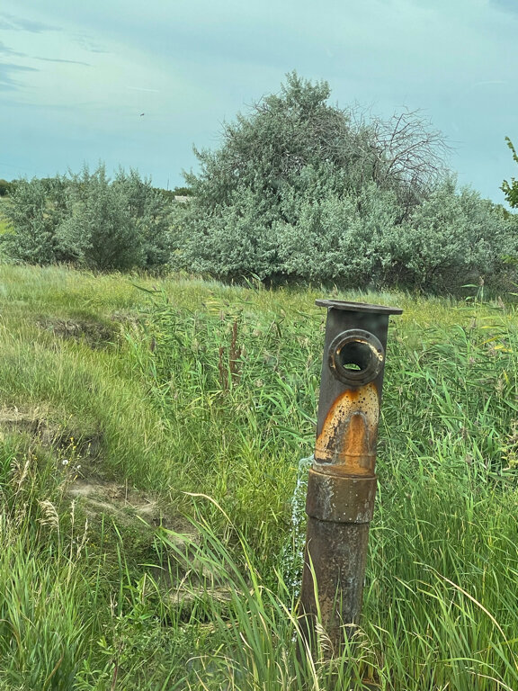 Pınar, çay Spring, stream, Altayski krayı, foto