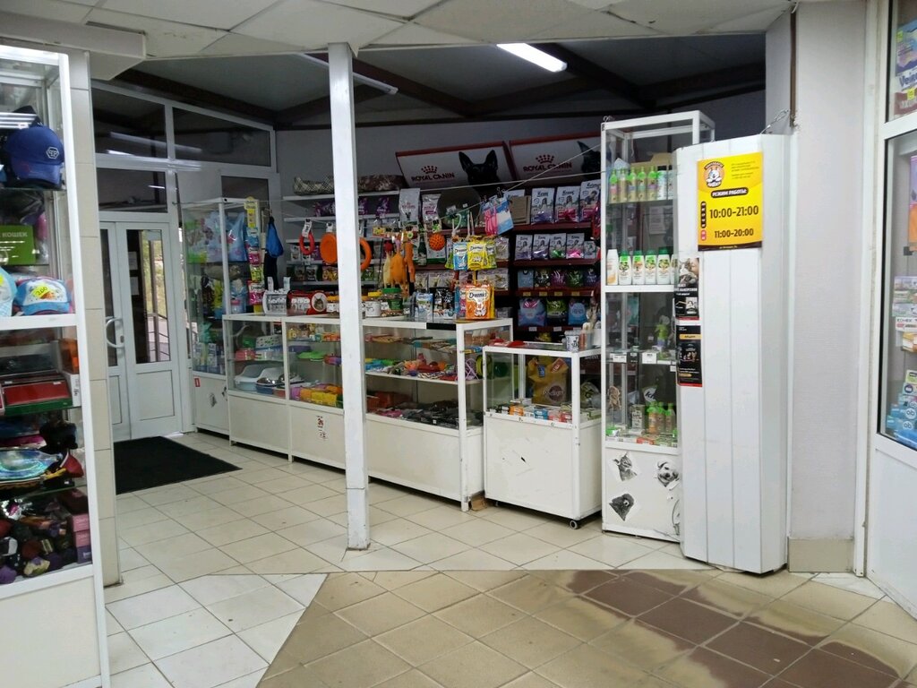 Petshop Лапки, Perm, foto
