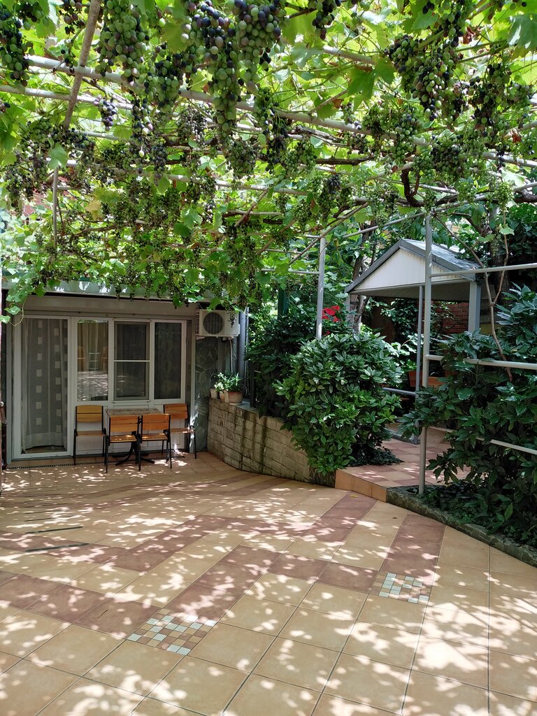 Otel Илен, Gelencik, foto