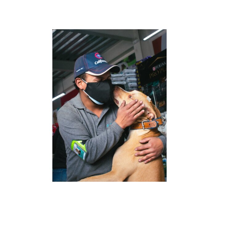 Veteriner klinikleri The Duck, , foto