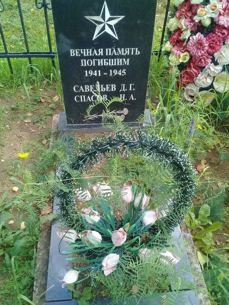 Anıt, heykel Братская могила, Pskovskaya oblastı, foto