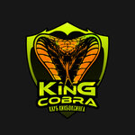 KingCobra (Levanevskogo Street No:100А), spor okulları  Izhevsk'ten
