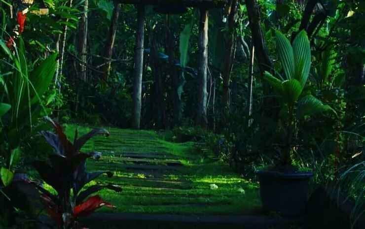 Otel Bucu Hidden Guest House, Bali, foto