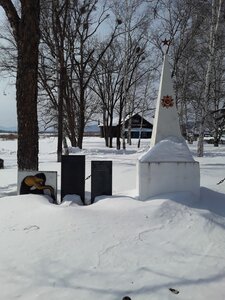 Воинам, павшим в Великой Отечественной войне (Primorye Territory, Dalnerechenskiy rayon, Orekhovskoye selskoye poseleniye, selo Polyany), anıt, heykel  Primoriye'den