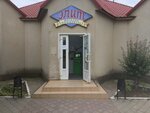 Элит (Odeska Region, Bolhrad), market  Bolgrad'dan