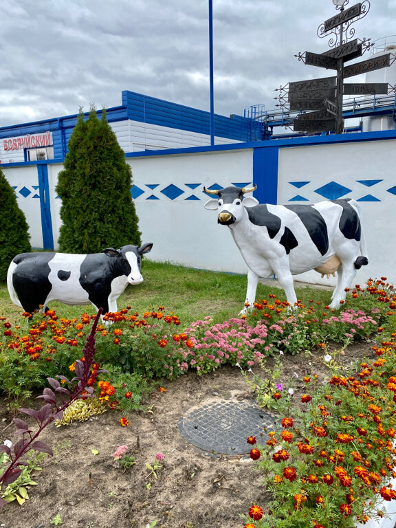 Gıda üreticileri Babushkina Krynka, Bobruisk, foto