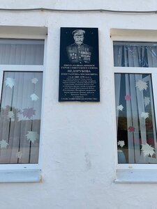 Герою Советского Союза Константину Иосифовичу Недорубову (Krasnoarmeyskaya ulitsa No:140), anıt levhası, anıt taş  Hadyjensk'ten