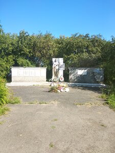 Воинам Великой Отечественной войны 1941-1945 гг. (Tyumen Region, Yurginskiy rayon, selo Severo-Pletnyovo), anıt, heykel  Tümen (Tiumenskaya) oblastından