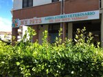 Ambulatorio Veterinario My Pets (Lazio, Roma, Nettuno, Via Aldo Moro, 3), veteriner klinikleri  Nettuno'dan