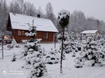 Skazochnyi Domik (Padliesnaja vulica No:20, vioska Zialiony Sad), otel  Minskaya oblastından