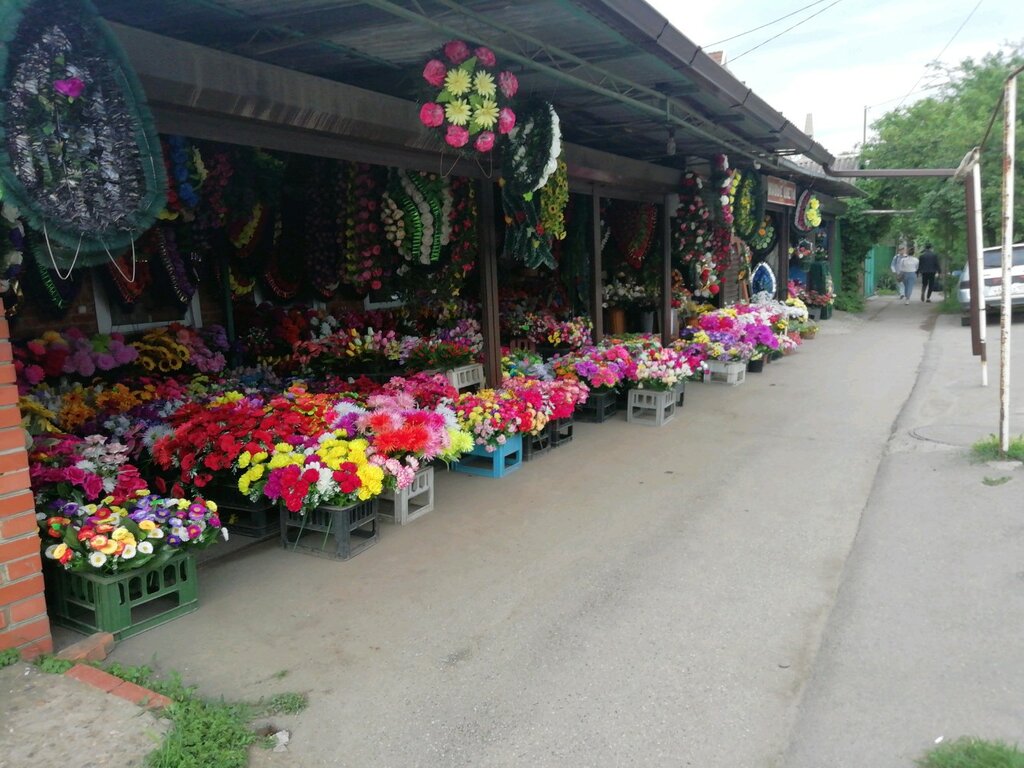Yapay bitki ve çiçek Искусственные растения и цветы, Krasnodar, foto