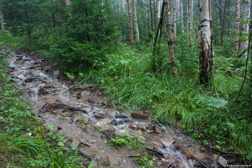 Doğa Водораздел Стекляшка, Çeliabinskaya oblastı, foto