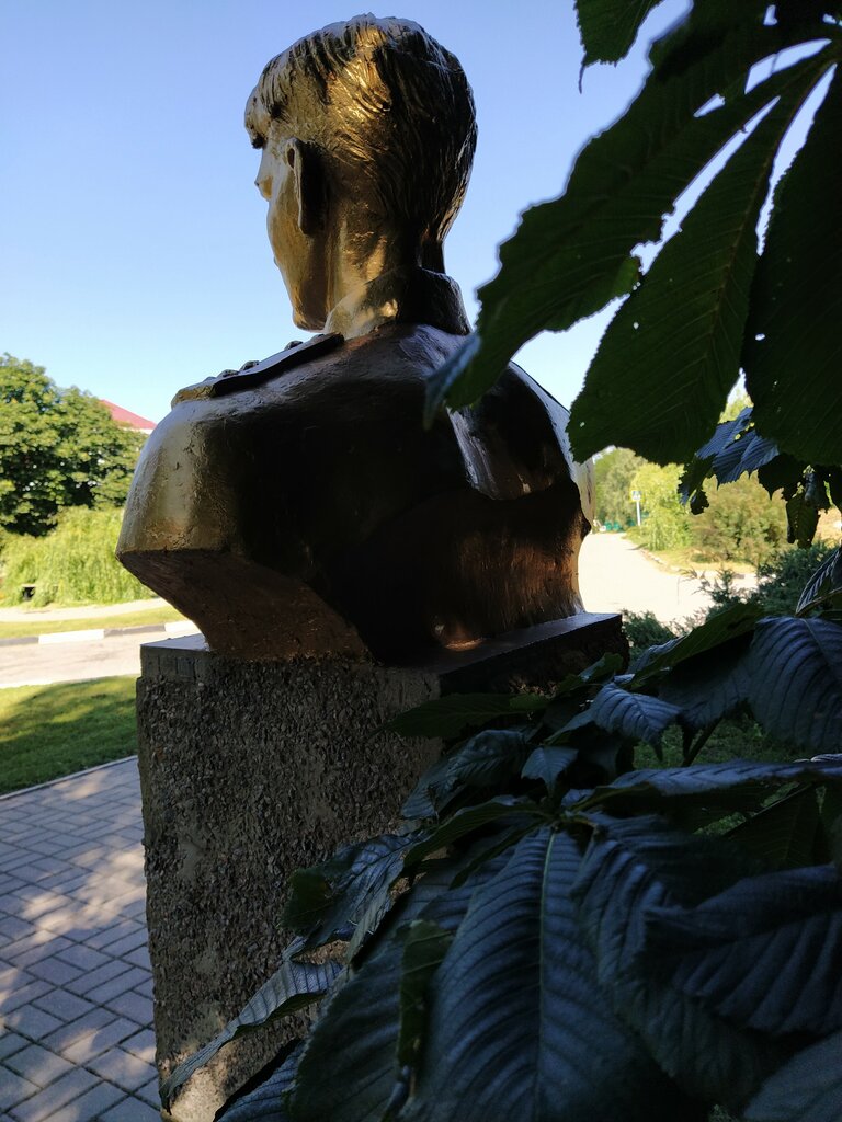 Anıt, heykel Бюст Героя Советского союза Исаева В. В., Belgorodskaya oblastı, foto