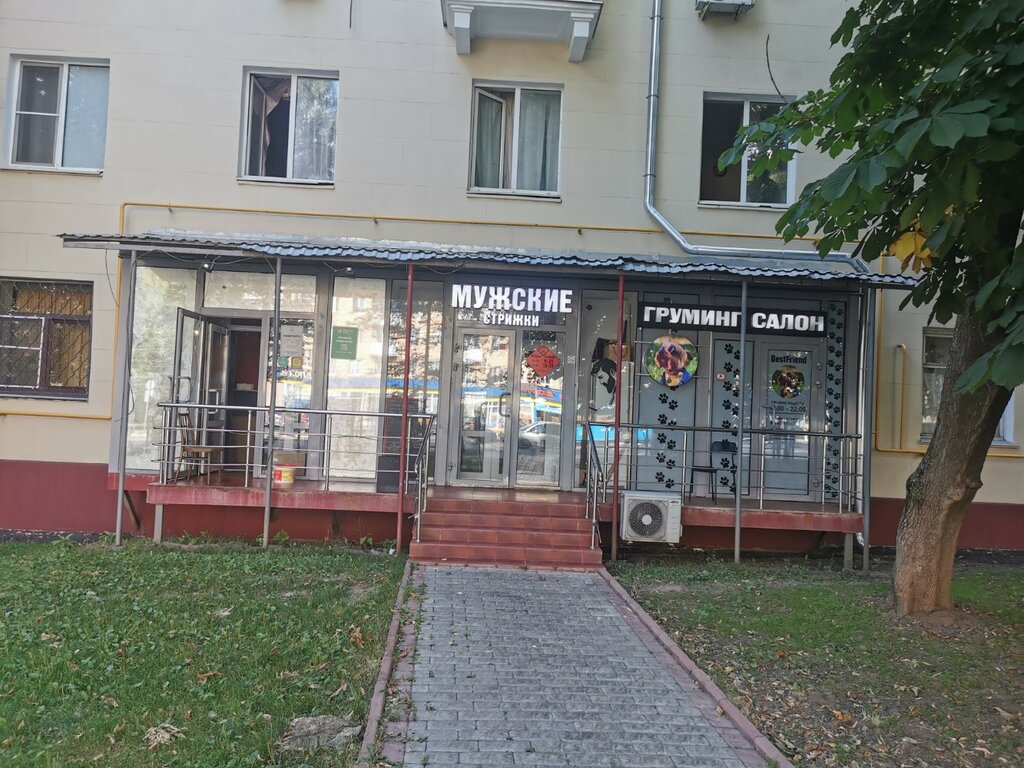 Suşi restoranı I love sushi, Moskova, foto