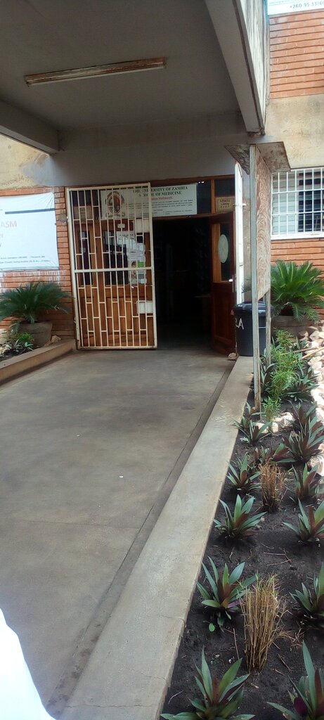 Üniversiteler University of Zambia School of Medicine, Lusaka, foto