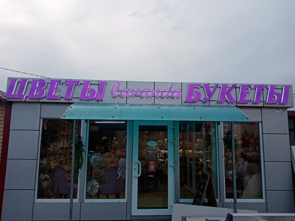 Çiçekçiler Lavanda, Apşeronsk, foto