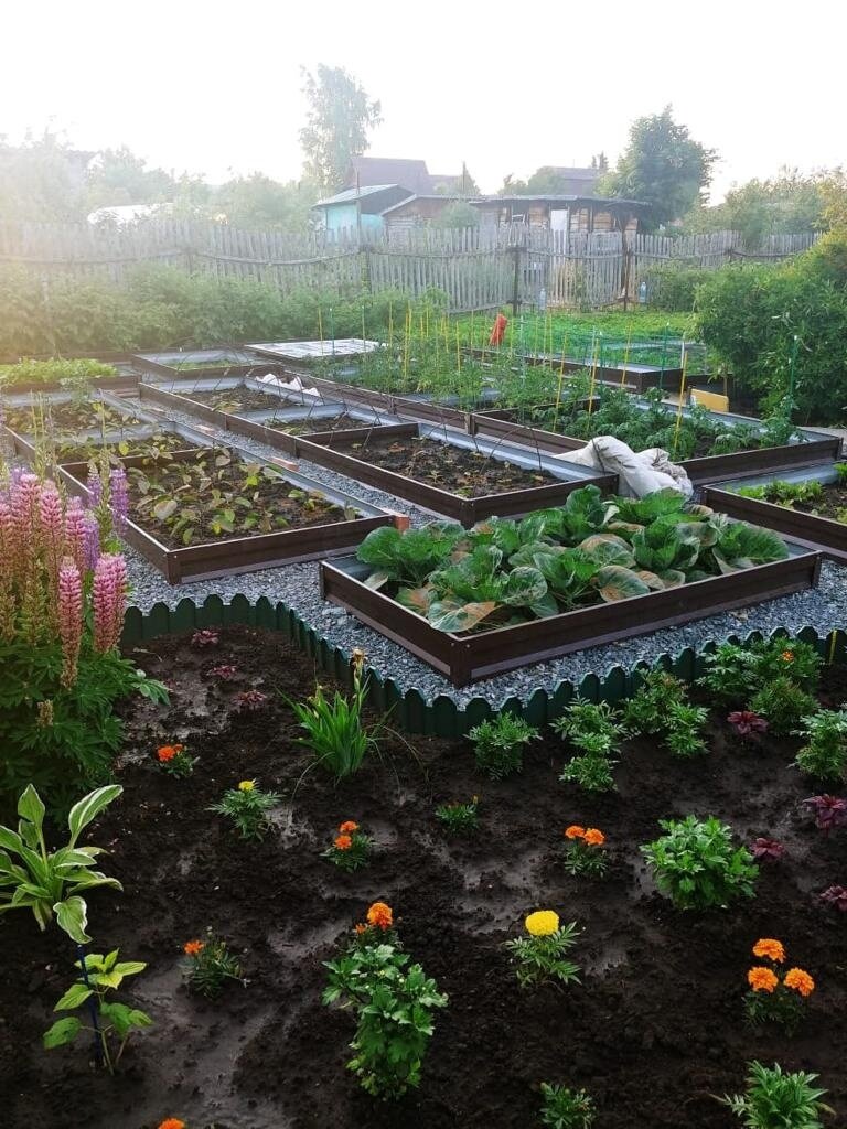 Bahçe ekipmanları ve teknolojileri Стильные грядки, Omsk, foto