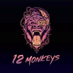 12 Monkeys (Vostochno-Kruglikovskaya Street No:30), bilgisayar mağazaları  Krasnodar'dan