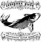 Northern fish (ulitsa Mayakovskogo No:69В), balık ve deniz ürünleri  Irkutsk'tan