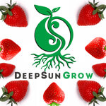 DeepSunGrow (Sovkhoznaya Street No:2А, posyolok Zonalnaya Stantsiya), sera ekipmanları  Tomskaya oblastından