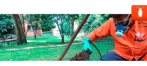 Haşere ilaçlama firmaları Doctor Clean - Facade Maintenance Pest Control, Medellin, foto