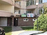 Barin Bilgim Keledi! (Kenesary han kóshesі No:54/1), özel ders hizmetleri  Almatı'dan